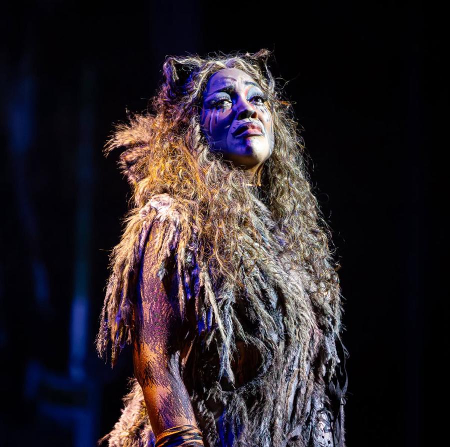 CATS the Musical Pounced into Hammer Hall Melbourne on New Year’s Eve ...