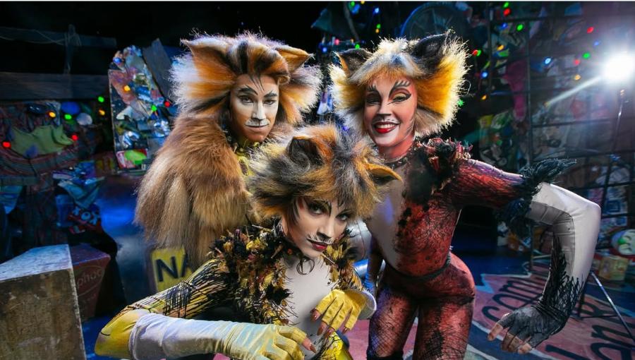 CATS the Musical Pounced into Hammer Hall Melbourne on New Year’s Eve ...